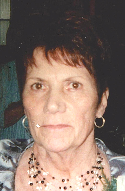 Sandra Lee Goldner 1943-2024 | News, Sports, Jobs - The Vindicator